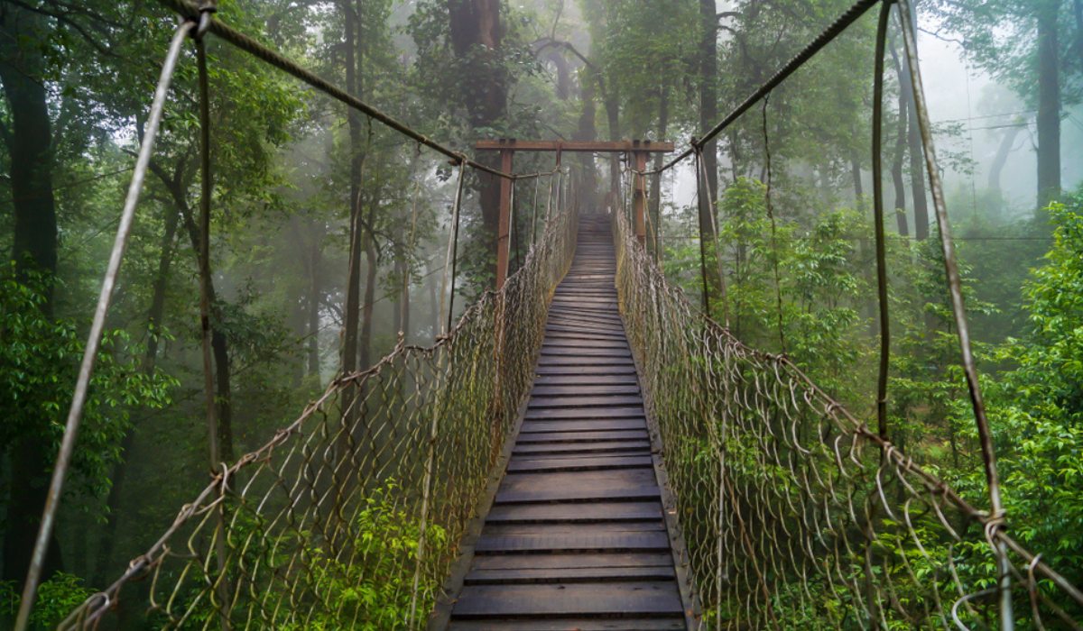 West Bengal – alhabib